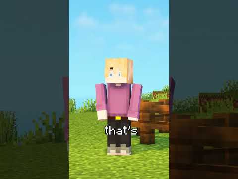 Minecraft but, the Server has High Ping #shorts