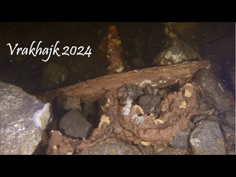 Bjuröklubb - Vrakhajk 2024