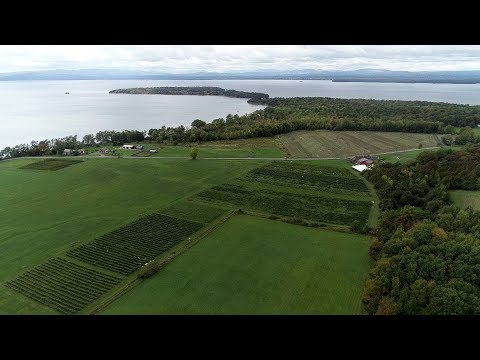 From Grapes to Glass: Experience Vermont Wine