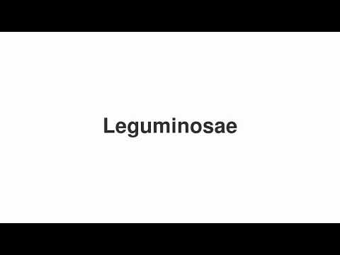 How to Pronounce "Leguminosae"