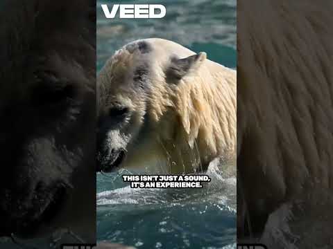 AI Bear ROARS Loud! π»π₯ You Wonβt Believe the Sound!