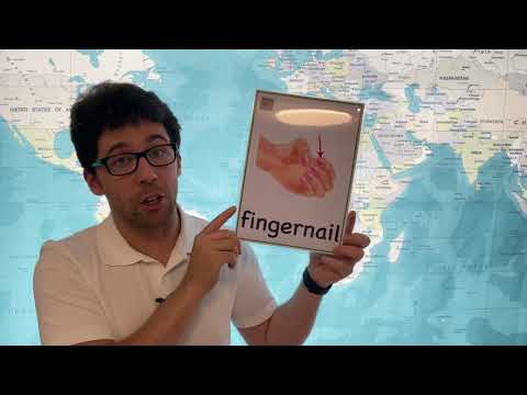 How to Pronounce Fingernail in English