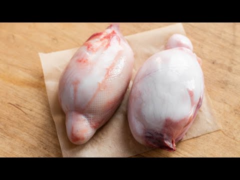 How to Clean Rocky Mountain Oytsers (Lamb Fries / Testicles)
