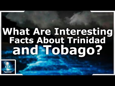 What Are Interesting Facts About Trinidad and Tobago?