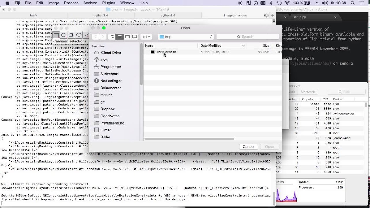 Automate fiji tasks with python