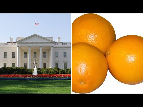 WHY IS THE ORANGE MENACE DROPPING THE F-WORD?ORANGE MENACE & THE NATO SUMMIT OPEN READ?