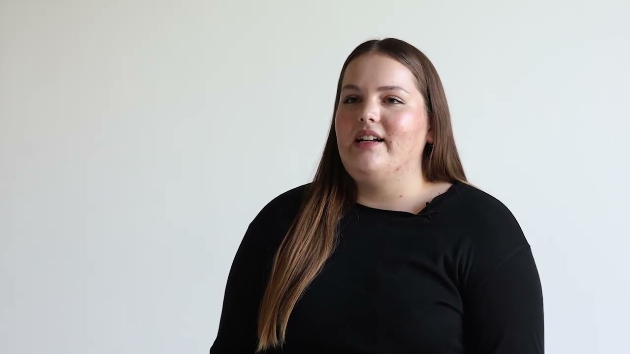 What is the University Honors Program?