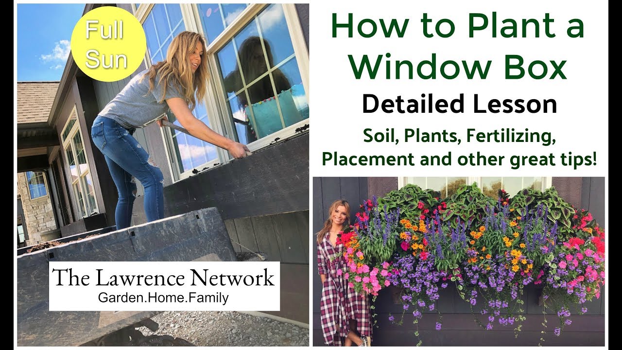 How to Plant a Window Box | Detailed Lesson | For Full/Part Sun | Container Gardening