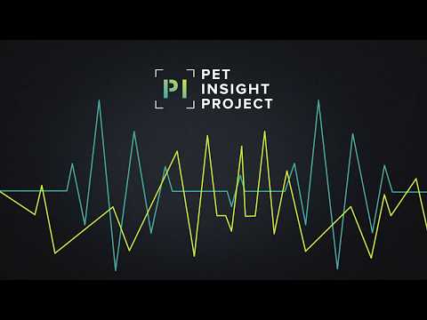Dogs Meet Science: How Whistle Detects Canine Behavior
