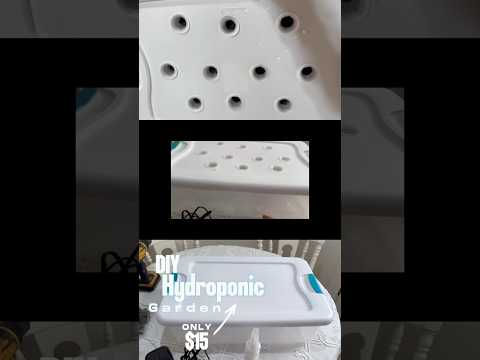 The Beginner's Guide to Hydroponic Garden with EASY & CHEAP DIY Containers