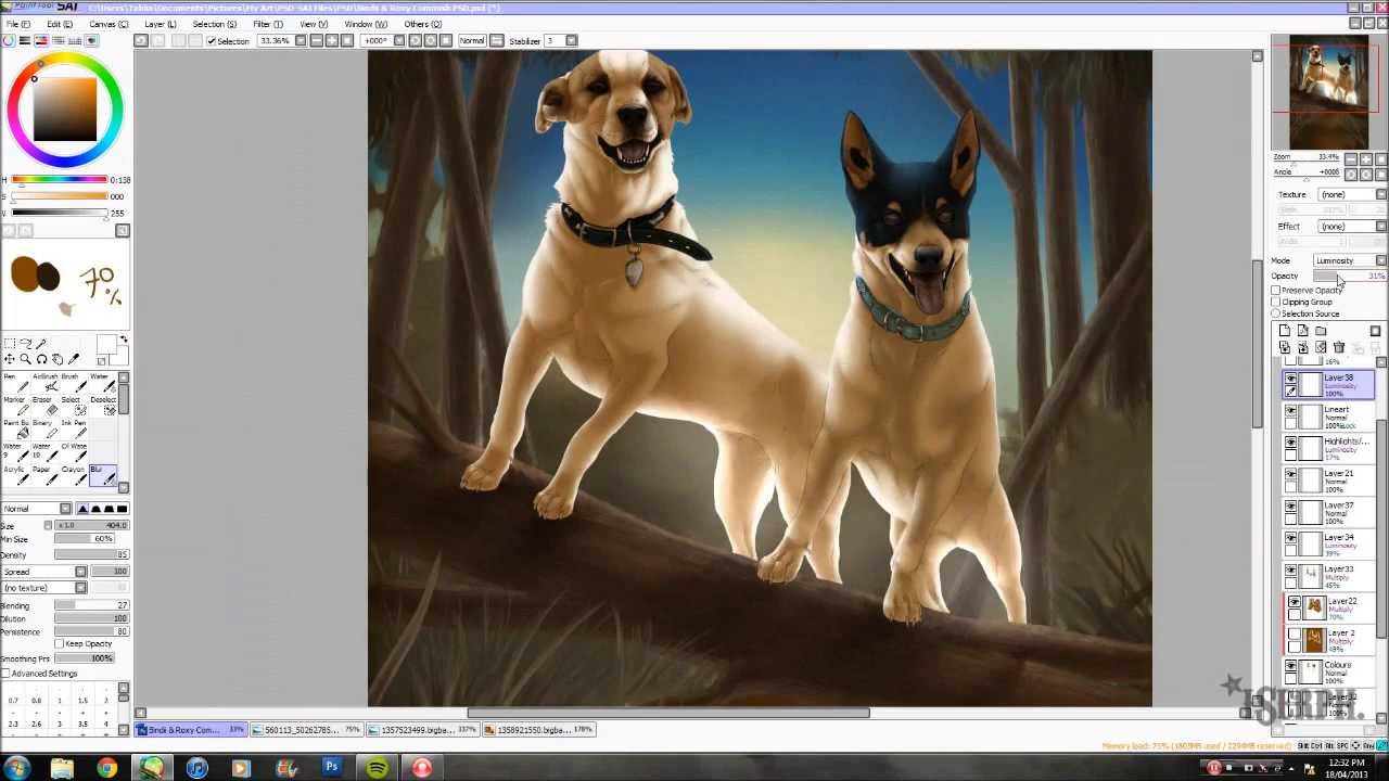 Bindii & Roxy // Commission