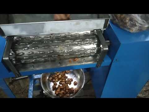 Tamarind Seed Removal Machine - Amli Processing Machine Latest Price ...