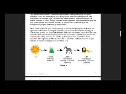 Science Flow of Matter and Energy in Ecosystems