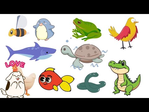Animal Names who lay eggs | Egg Parents#nurseryrhymes # cartoon