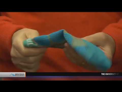 Montana Ag: American wool makes perfect socks