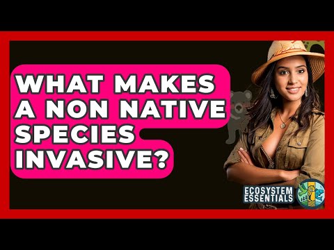What Makes A Non Native Species Invasive? - Ecosystem Essentials