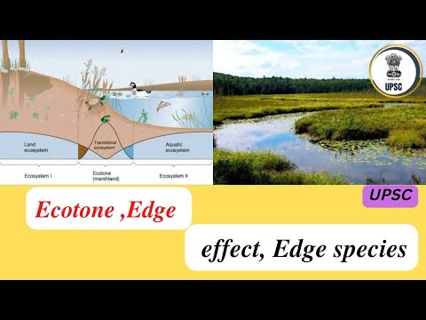 L-3: Ecotone, Edge Effect, Edge Species