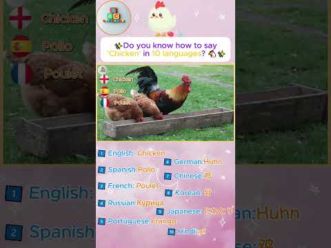 Say Chicken in English and Spanish! | Animal Words for Kids 🐔