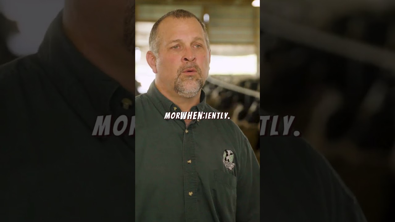 Why robots are the future of dairy farming