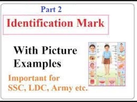 How to write identification Mark in hindi |Identification Mark kaise likhe in Hindi | Identification