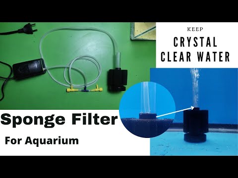 Sponge filter setup || aquarium filter || HOW TO SETUP SPONGE FILTER || sponge filter for aquarium.