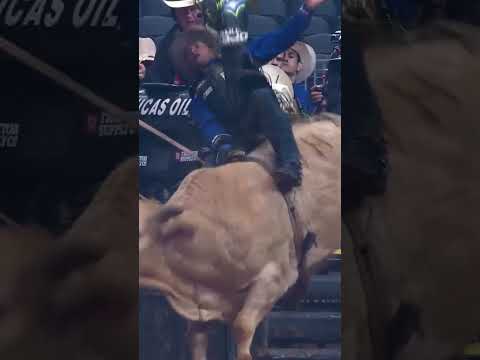Man Hater! The 2024 YETI World Champion Bucking Bull