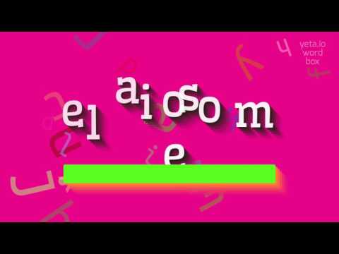 How to say "elaiosome"! (High Quality Voices)