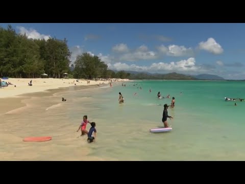 Holiday travel deals: Are they worth it? | Morning in America