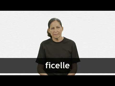 English Translation of “FICELLE” | Collins French-English Dictionary