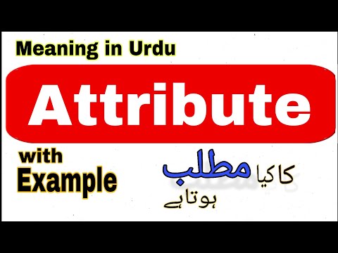 Attribute meaning in Urdu/Hindi | Attribute ka matlab Kya hota hai |What is the meaning of Attribute