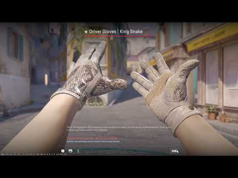 Steam Community :: Video :: Driver Glove | King Snakes