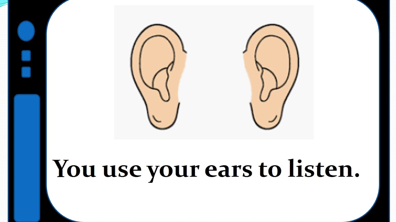 MY BODY - PARTS OF THE BODY - KINDER ONLINE TEACHING MATERIALS