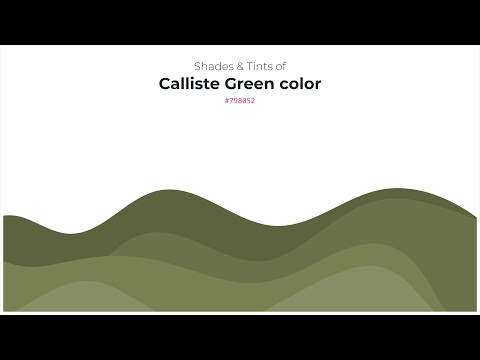 Shades & Tints of Calliste Green color #798052 A Warm Green color #6b7148 #5e633f #878e65 #969c78