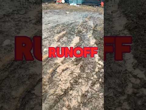 RUNOFF...WHAT is it ACTUALLY🤔 ?? | #sustainability