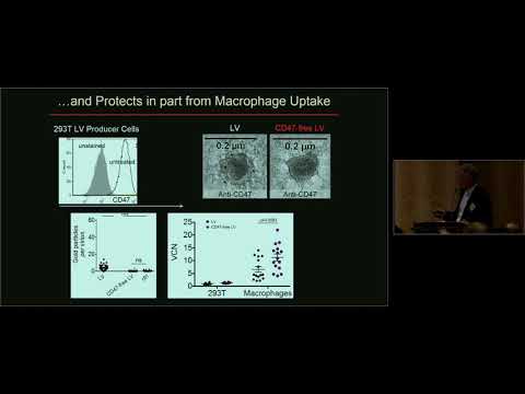 Scientific Symposium 305  Designing the Next Generation of Viral Vectors   Organized by the Viral Ge
