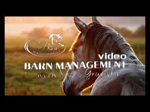Horse herd management and your boarding stable - You don't want to miss this video!