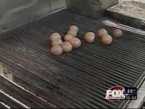 McDonald's, Others Pull Tomatoes Over Salmonella Concerns