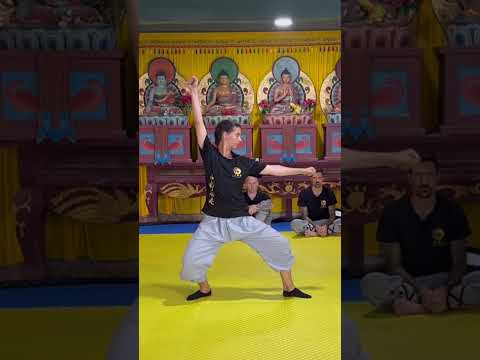The meaning of Kung Fu is NOT fighting | Shaolin Temple Yunnan