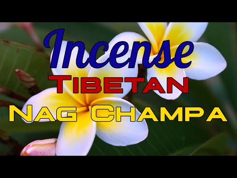 Tibetan Nag Champa Incense