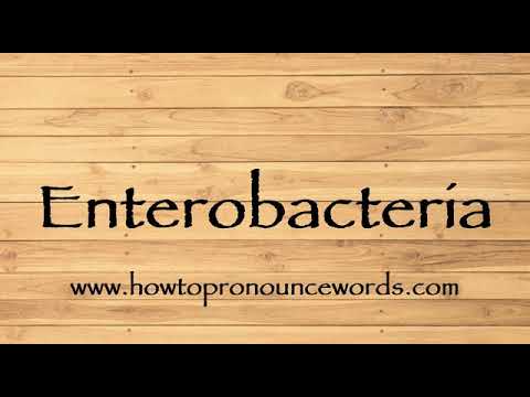 How To Pronounce Enterobacteria ? How To say Enterobacteria New Video