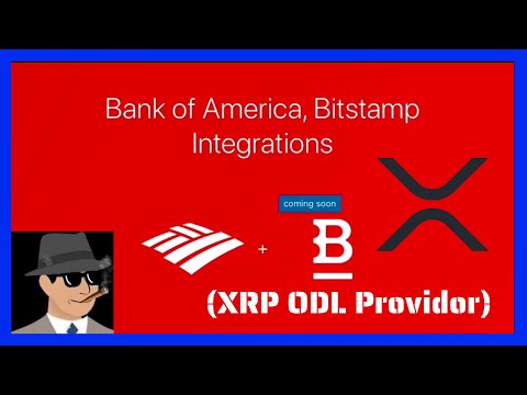 XRP, BOA & Bitstamp, Miguel Vias Expects Central Banks to hold XRP, IRS & Hackers,Ripple & XRP News!