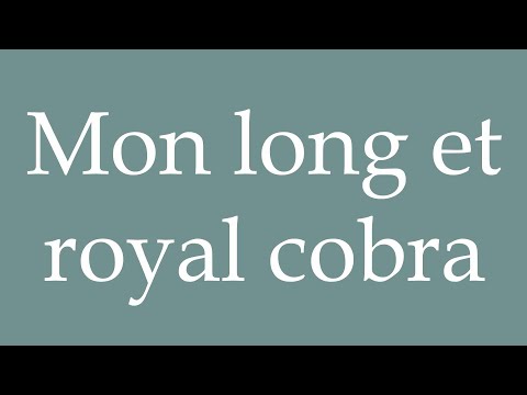 How to Pronounce ''Mon long et royal cobra'' (My long and royal cobra) Correctly in French