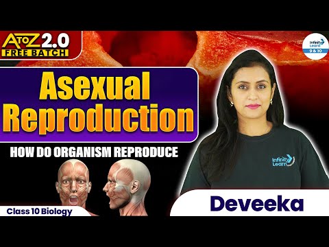 Asexual Reproduction | How Do Organism Reproduce | Class 10 Biology | @InfinityLearn_910