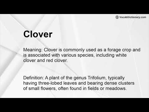 Clover Meaning