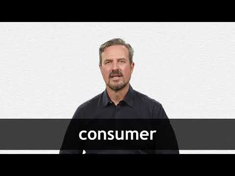 CONSUMER definition and meaning | Collins English Dictionary