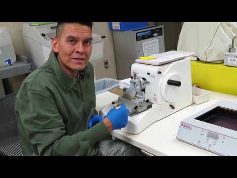 How Pathologists process a Tissue biopsy for microscopic exam