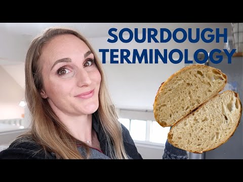 Sourdough Terminology Explained
