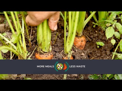 WHAT IS GLEANING?