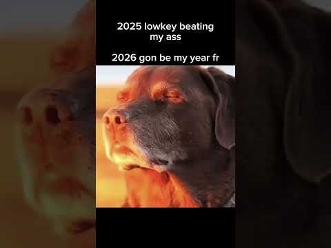 I'm cooked π #memes #funny #shorts #meme #newyear