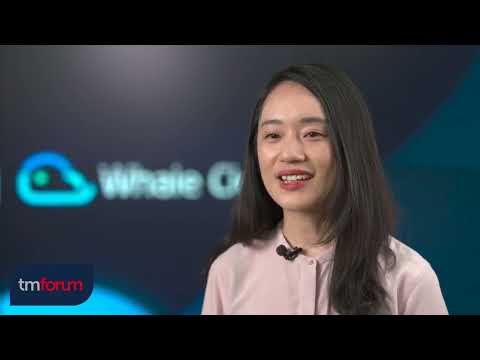 Interview from TM Forum about ODA Architecture